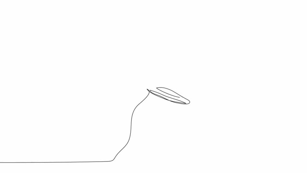 Minimalistic single-line animation for your story. | Upwork