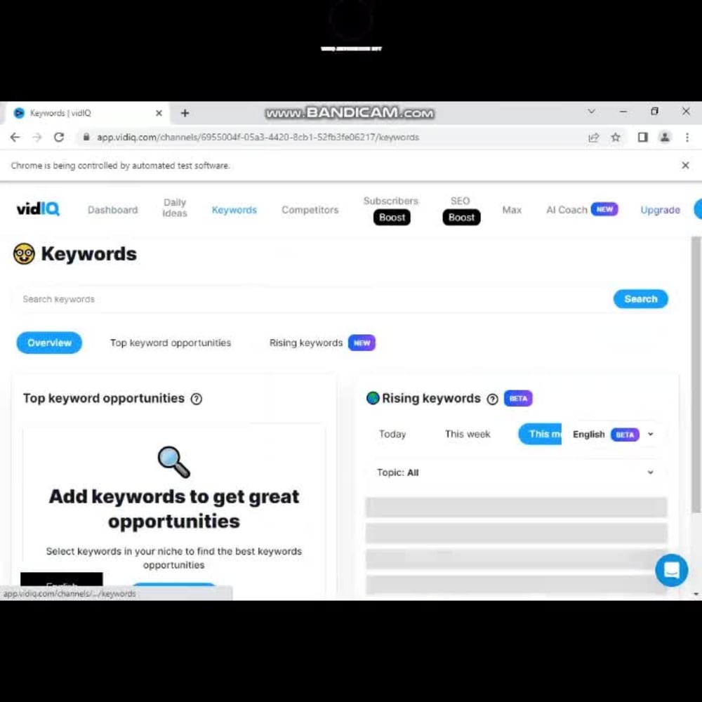 Custom python bot and script for automation | Upwork