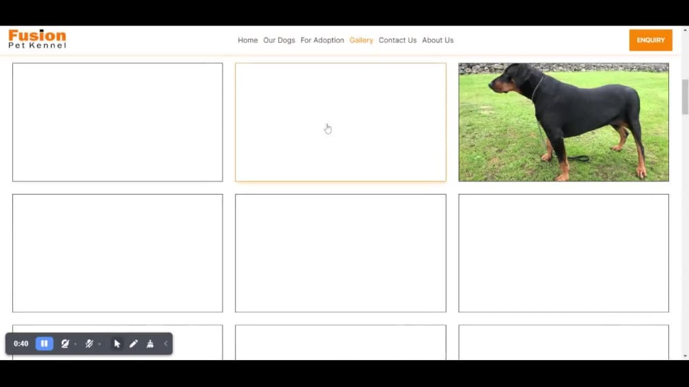 A Dog Breeder Website built with Nextjs and React | Upwork