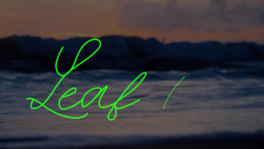 Professional signature logo animation | Upwork