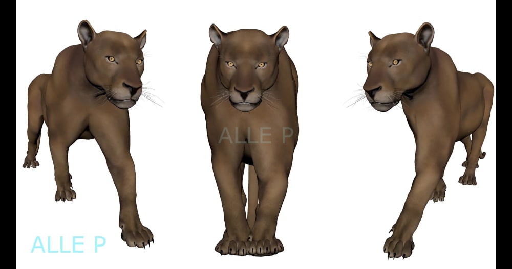 Top-notch 3D character animation for your PROJECT. | Upwork