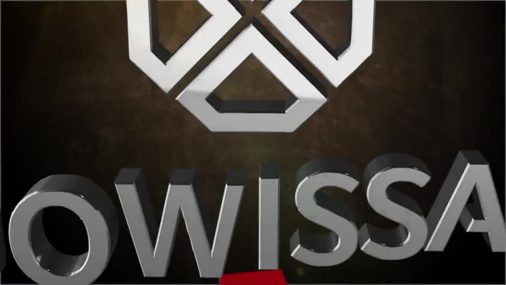 Make a 3D 2D logo animation for your brand in 24 hours | Upwork