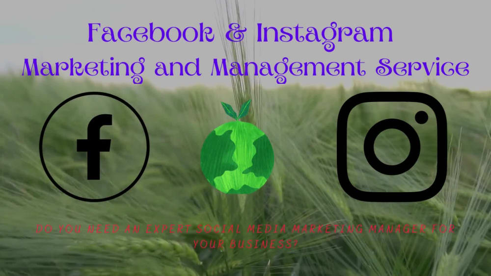Create, Setup, Manage Facebook & Instagram Marketing & Management ... Create, Setup, Manage Facebook & Instagram Marketing & Management ...