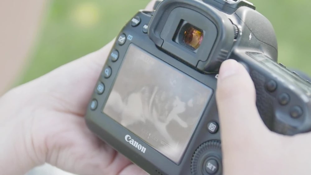 Vfx compositing work including 2d/3d track, matte paint, rotoscope ...