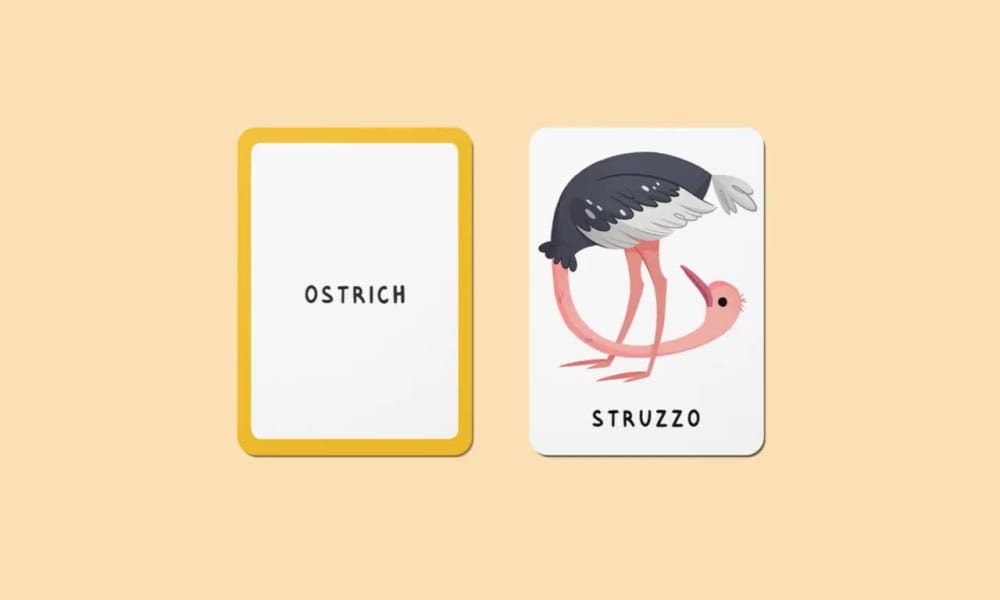 A simple and details card game design, card illustration,mockup design ...