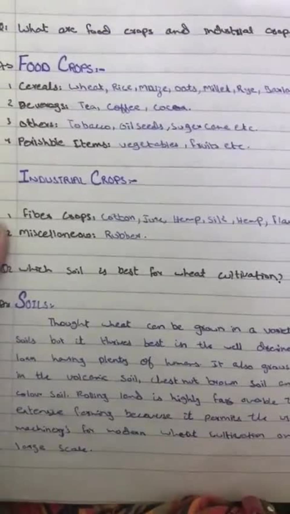Neat and clean hand written assignments | Upwork