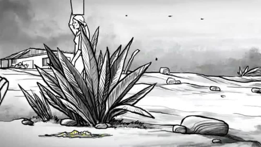 Traditional animation, cel animation, frame by frame anime | Upwork