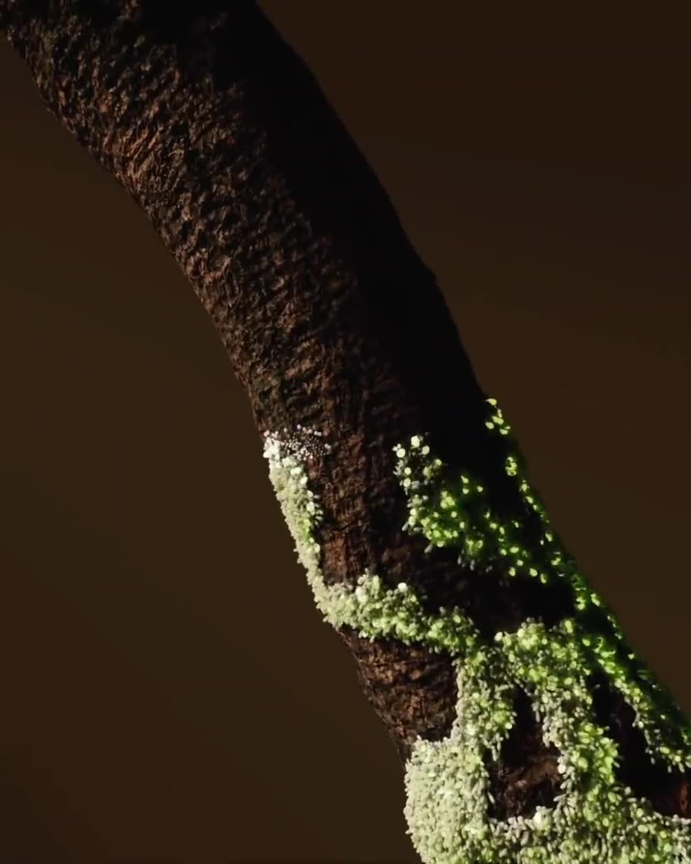 Excellent 3d CGI animation, VFX, visual effects, compositing, video ...