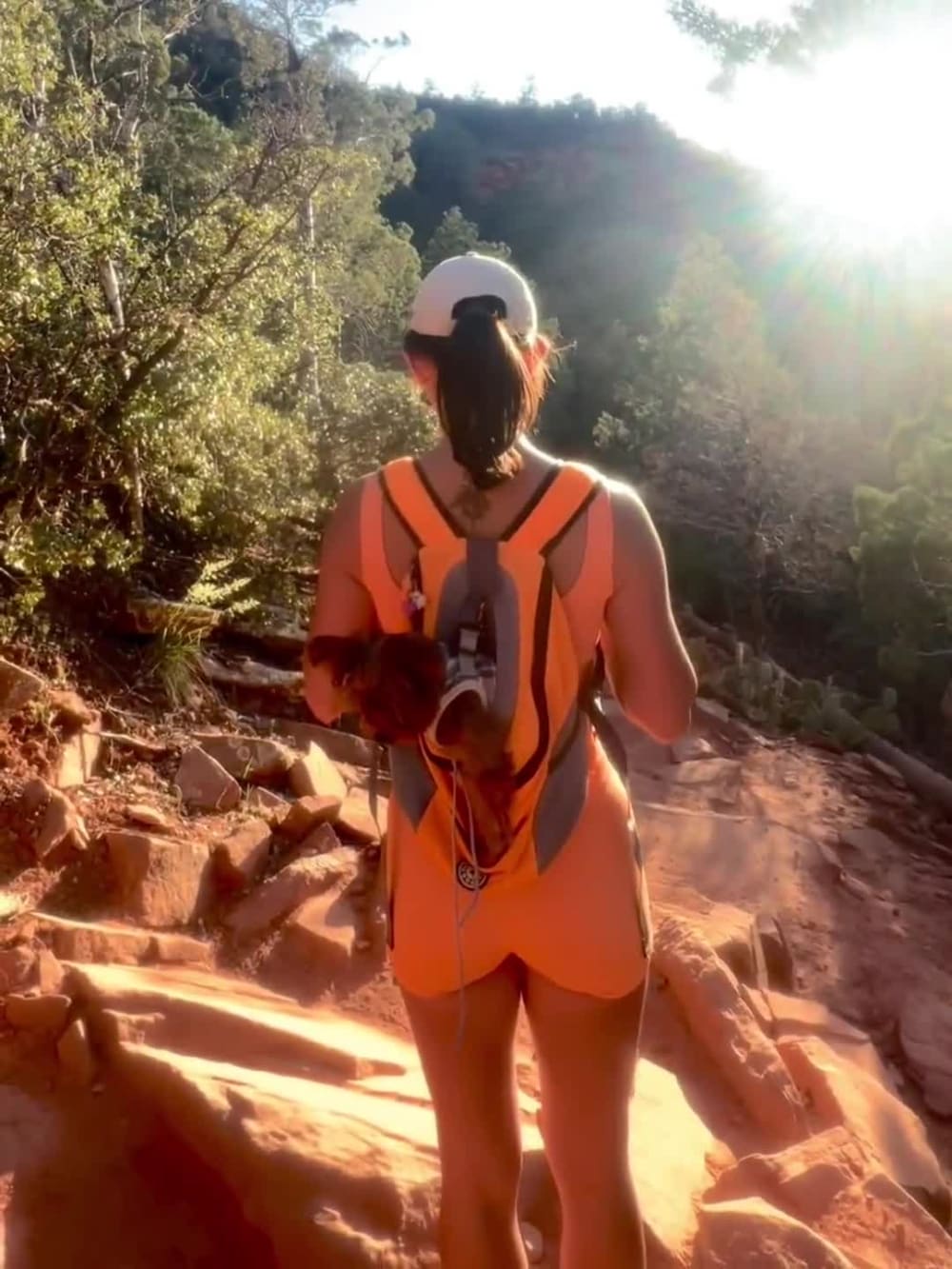 Cutie dog model for your brand or product | Upwork