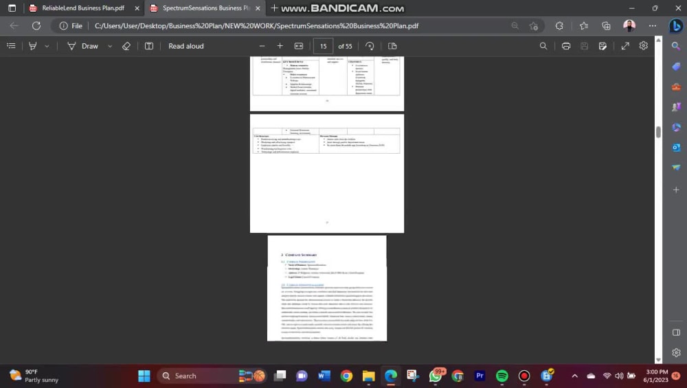 A Custom Business Plan Writing and Financial Projections | Upwork