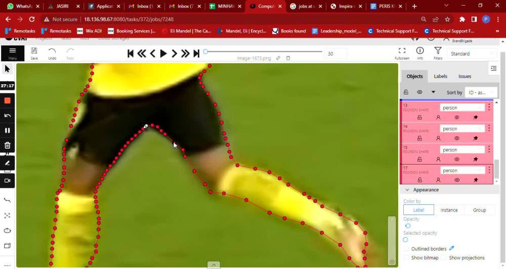 Image, video, and text Annotation for ML | Upwork