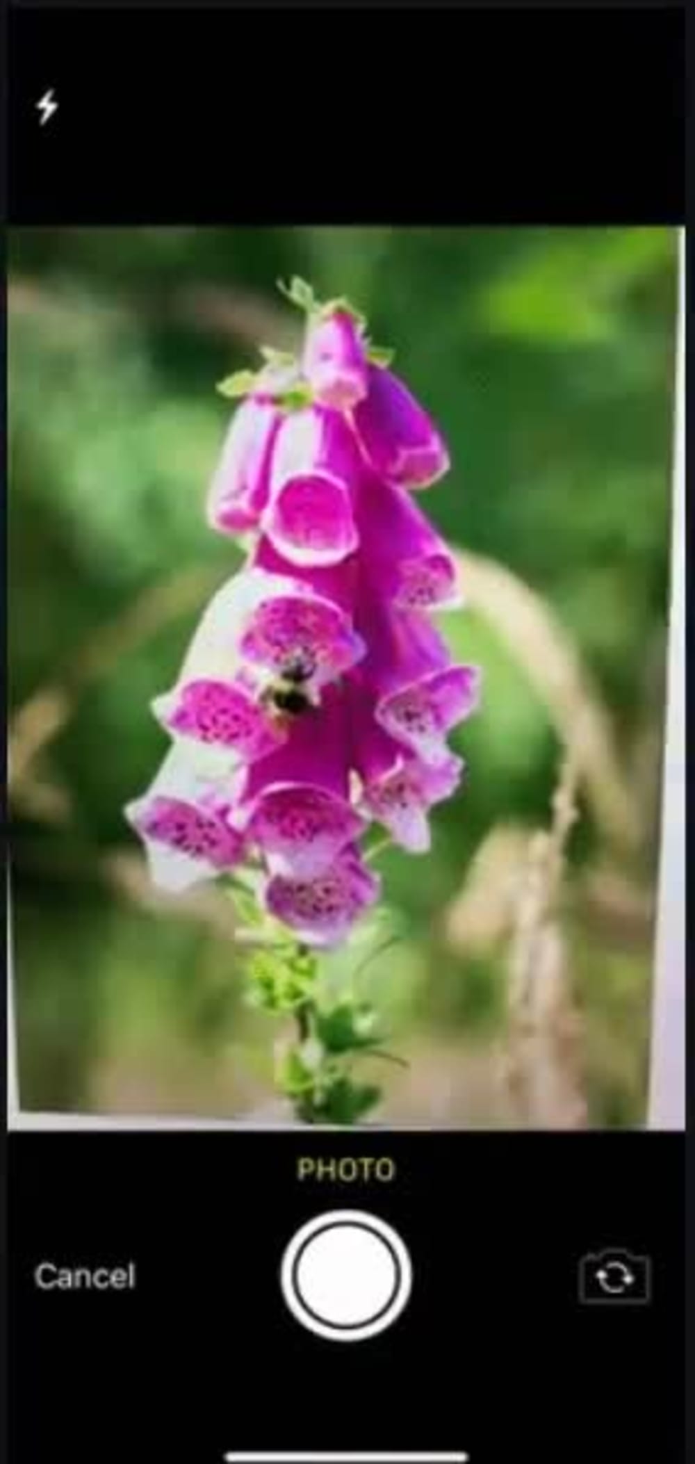 Impactful Computer Vision and DLP Solutions | Upwork