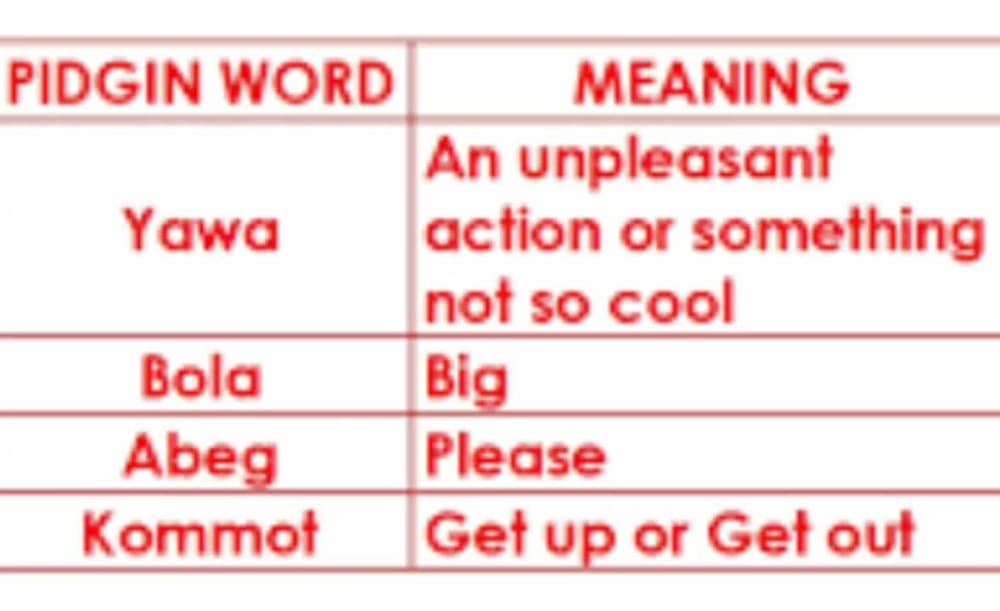 A good translation from English to Nigeria pidgin English or Yoruba ...