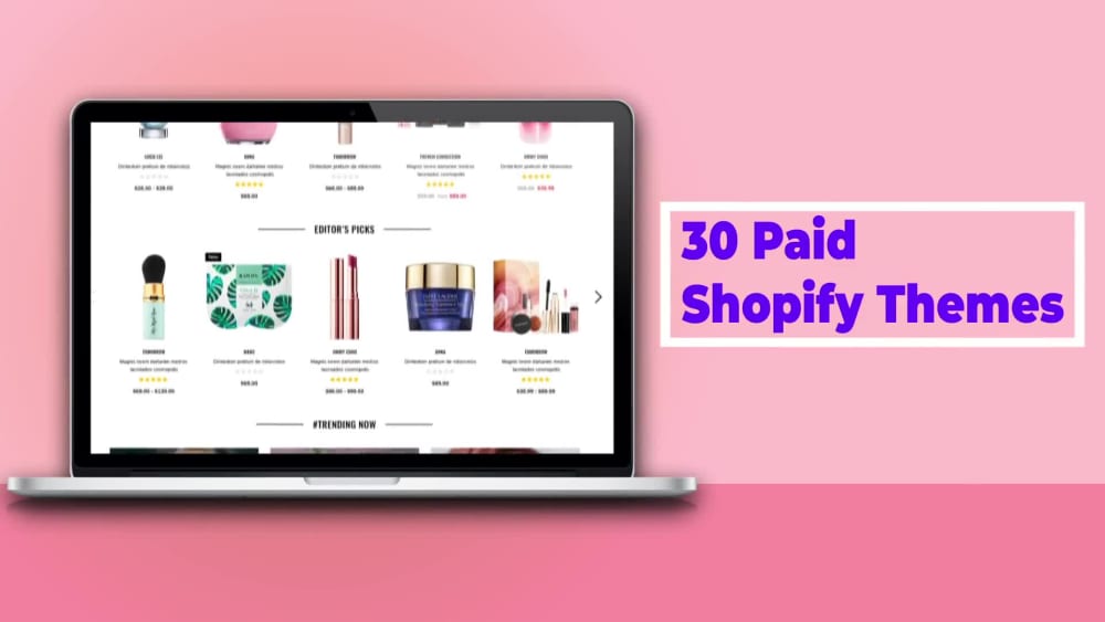 30 paid Shopify Themes | Upwork
