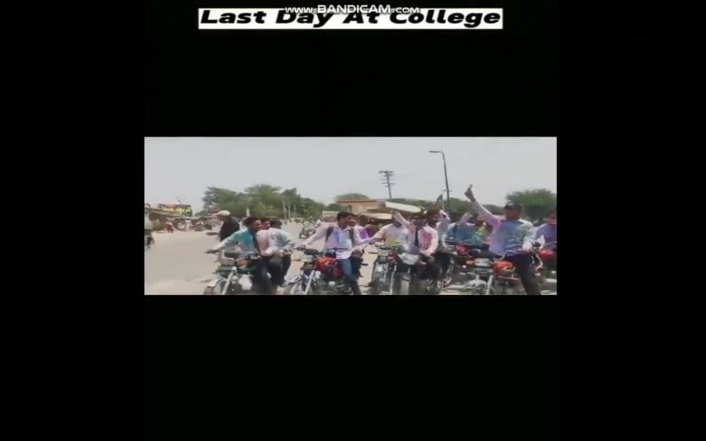 I create short video edotor for amazing video with nice graphic | Upwork