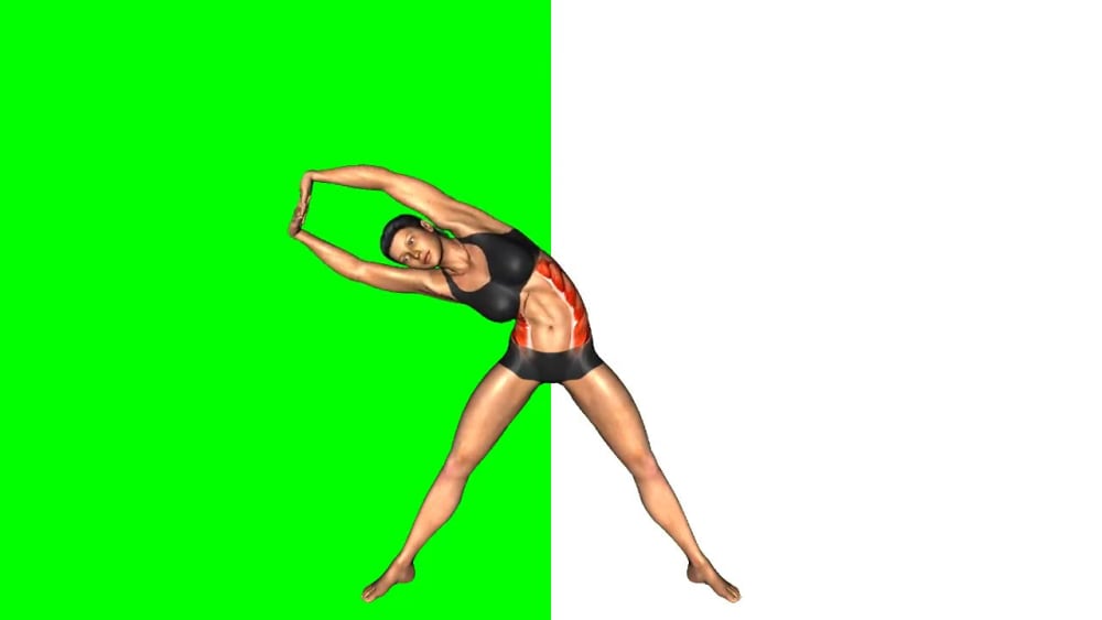 3D Fitness Animation green Background Videos Female For Youtube Channle ...