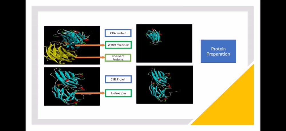 A Project On Molecular Docking And Molecular Dynamic Simulation Upwork