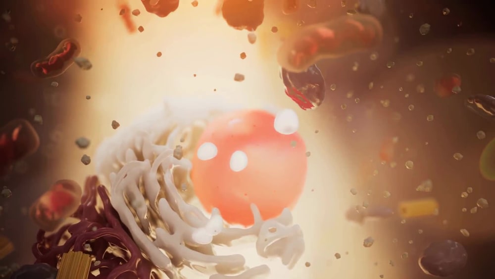 3d water simulations, animated fluids, and liquid animation | Upwork