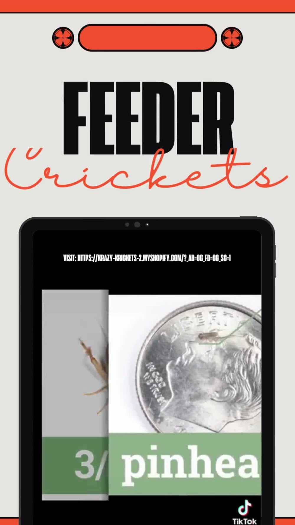 Video editing and poster editing services | Upwork