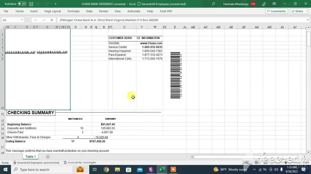PDF Bank Statements Converted Into CSV | Upwork