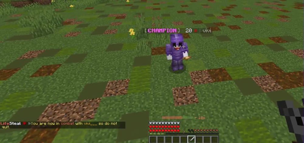 Configured and set any Minecraft plugin you like 🪅 | Upwork