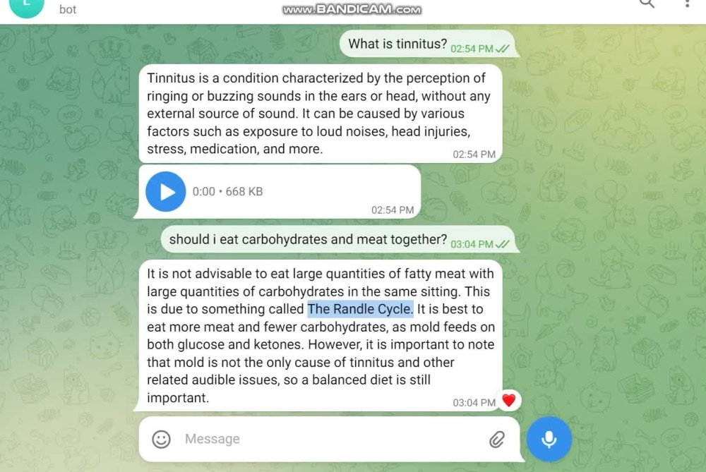 AI RAG Telegram Voice Bot | Upwork