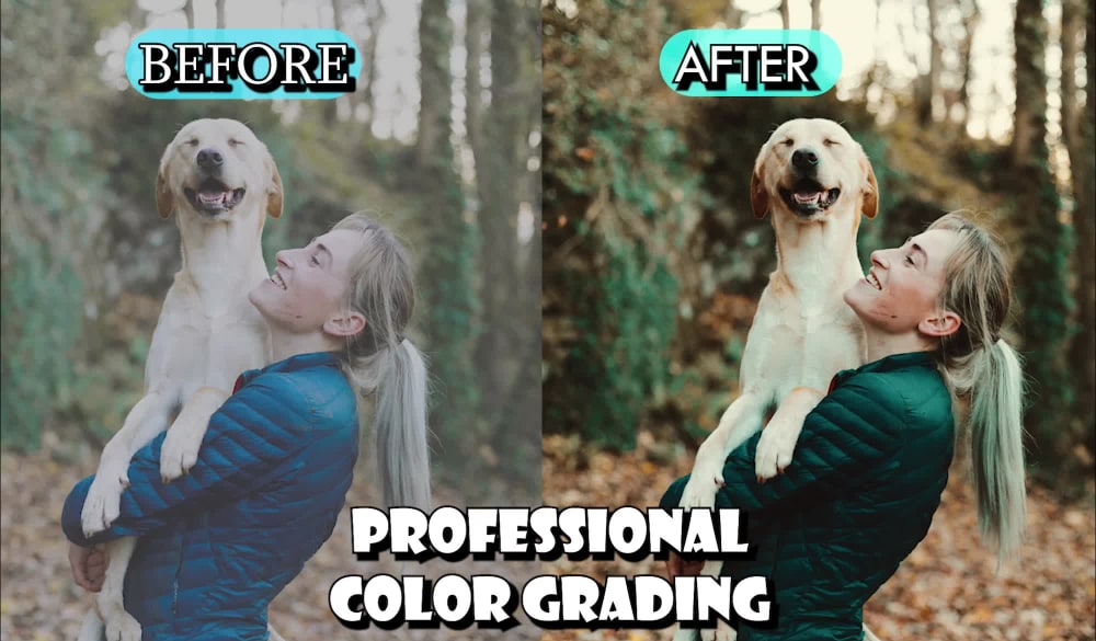 A fantastic social media video editing service | Upwork