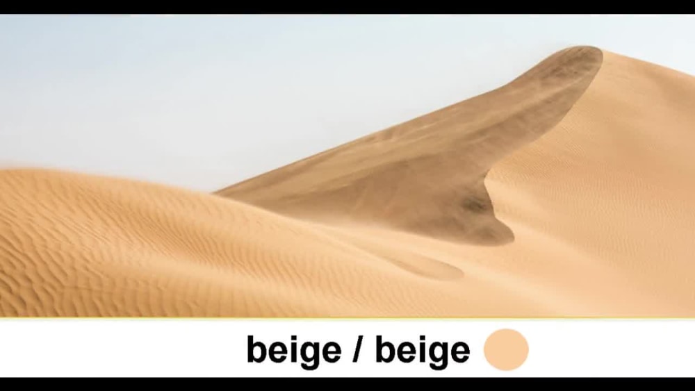 A French learning workbook worksheet and videos to learn FR Canada ...