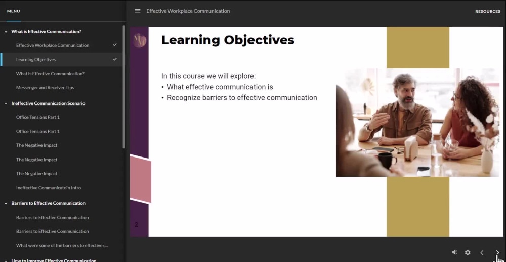 Professional Articulate Storyline/Rise Course | Upwork