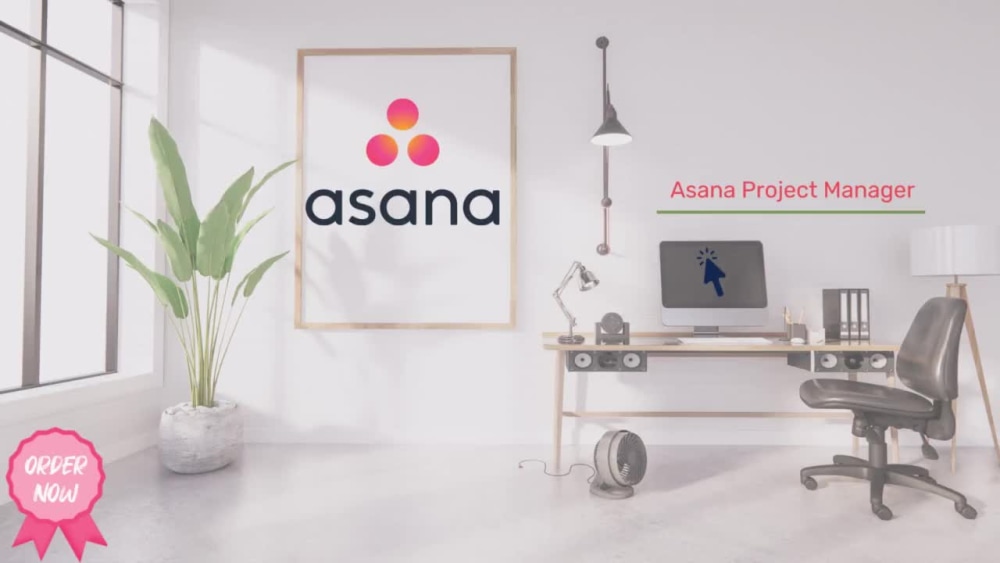 Efficient project management with Asana Setup and Workflow Automation ...