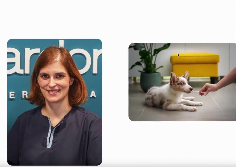 An amazing website that will drive your customers to say "wow" | Upwork