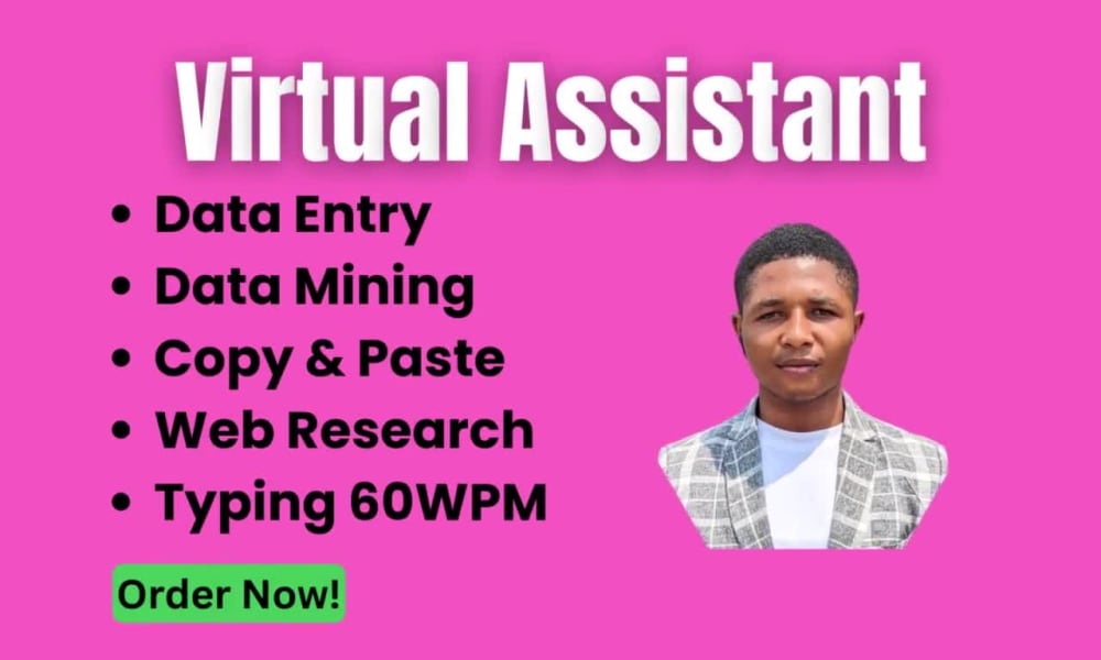 A top-notch virtual assistant for your data entry, data mining, copy-paste | Upwork