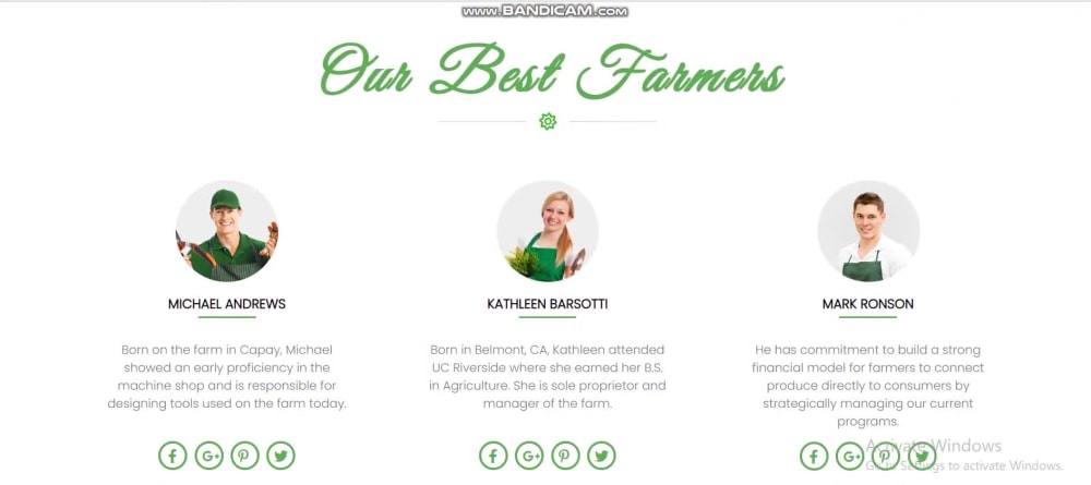 A fantastic responsive website design | Upwork