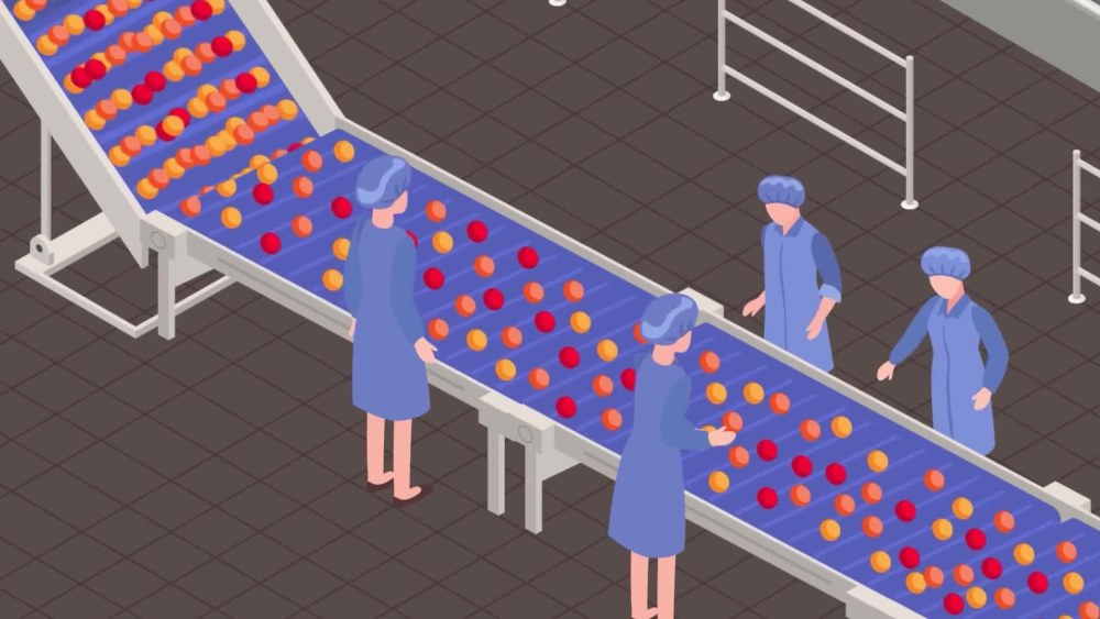 A professional Isometric animation explainer video | Upwork