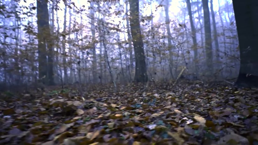 A nice video cinematic look, clear audio and 4k visuals.+colour grade ...