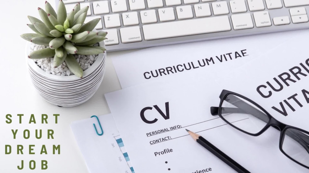 Professional CV design, writing, resume templates, portfolio | Upwork