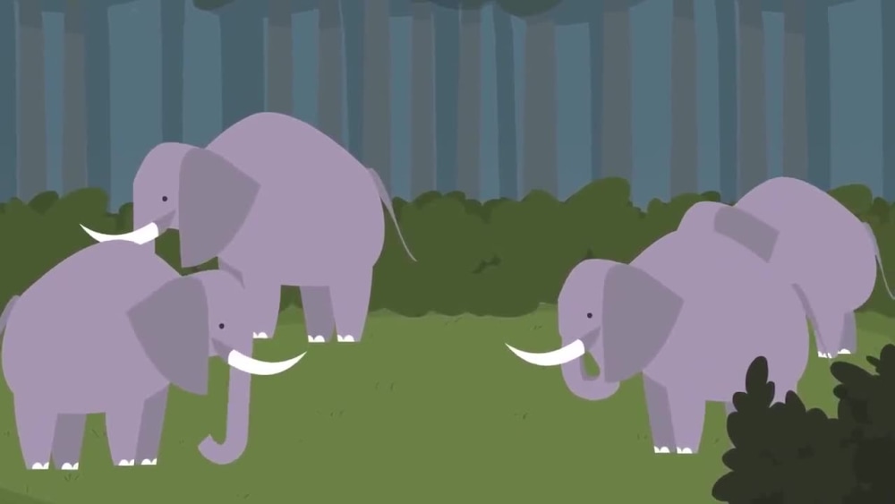 An Engaging Animated Explainer Video with Vyond | Upwork