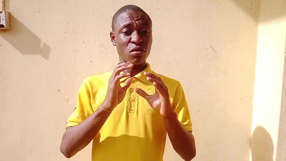 A professional sign language video done | Upwork