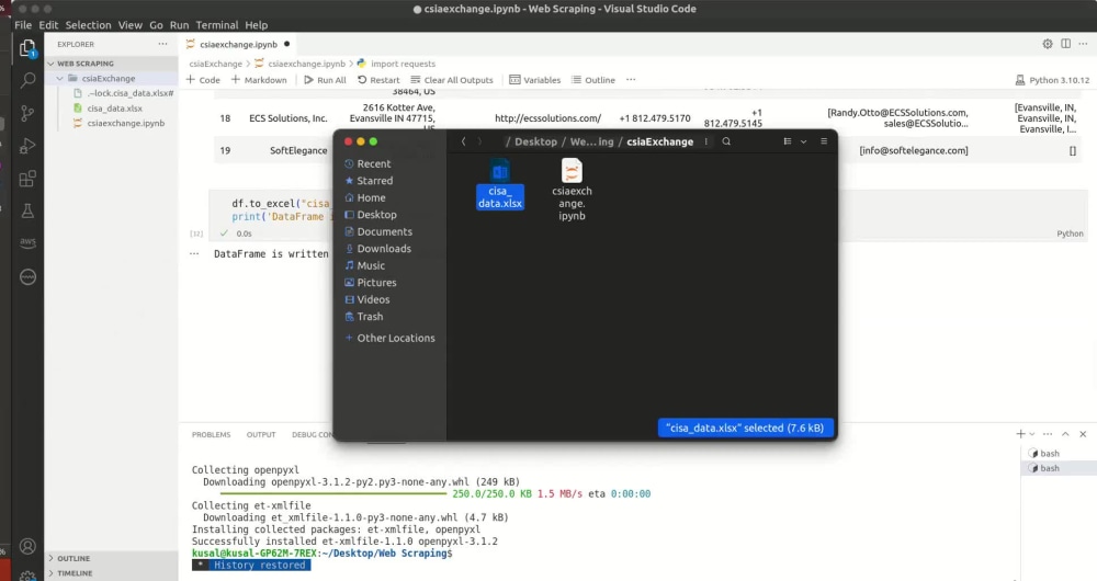 An Excel file from a scrap website | Upwork