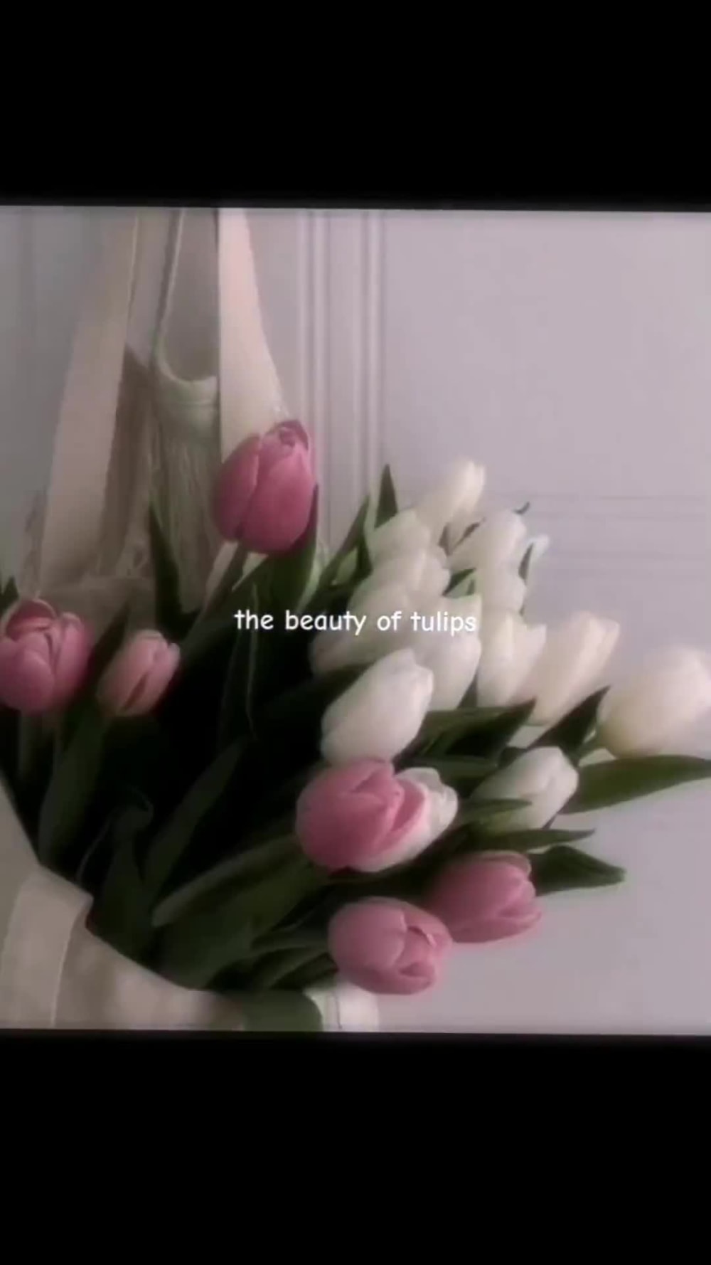 Elevating Your Brand with Professional Video Editing, Graphic Design ...