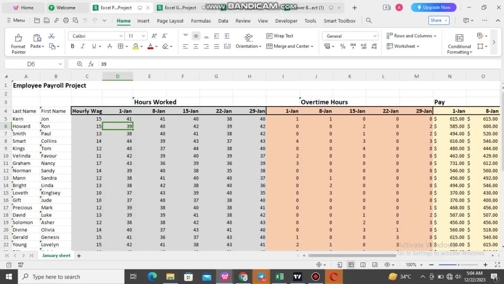 Employee payroll sheet with Microsoft excel | Upwork
