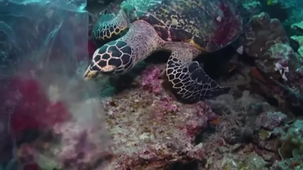 Create 3d animation with voiceover, vfx, cgi, 3d medical animation | Upwork