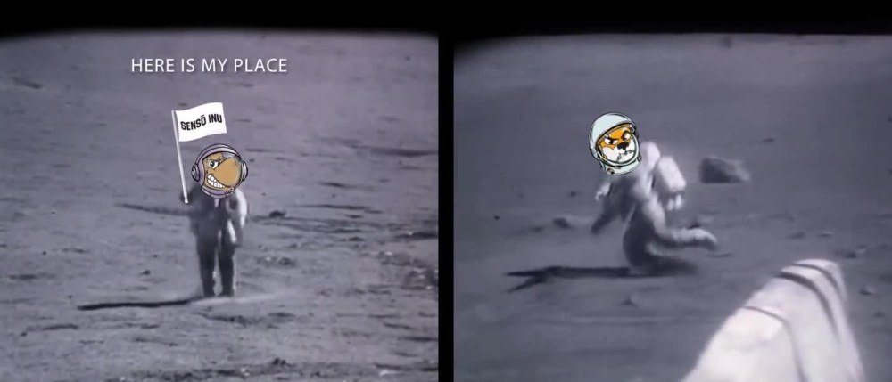 A fantastic meme: static, animated GIF or video format. | Upwork