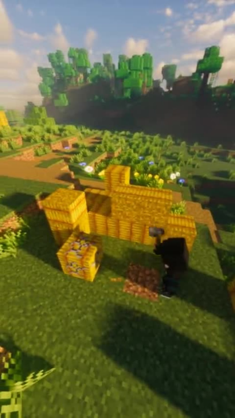 Promote your minecraft server through tiktok advertising | Upwork