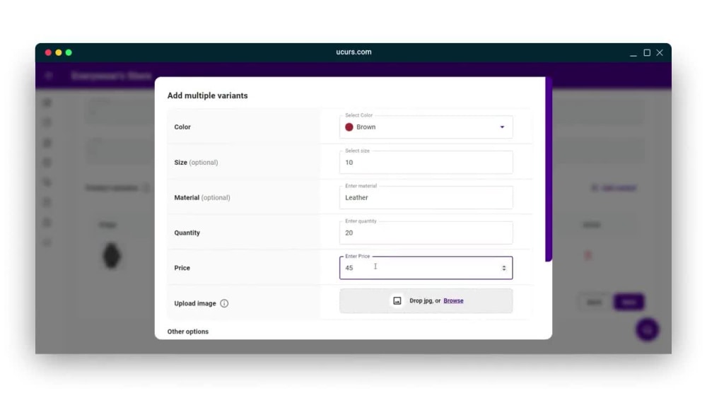 A fantastic Screencast Animation or Software Demo or Software ...