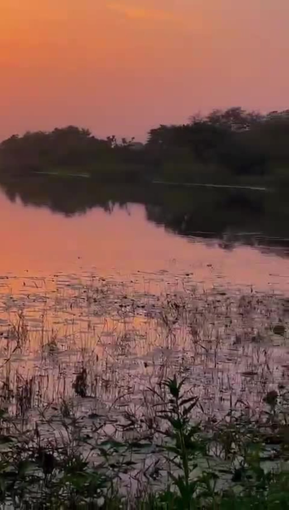 A detailed and compelling writing with personalized tailored ideas ...