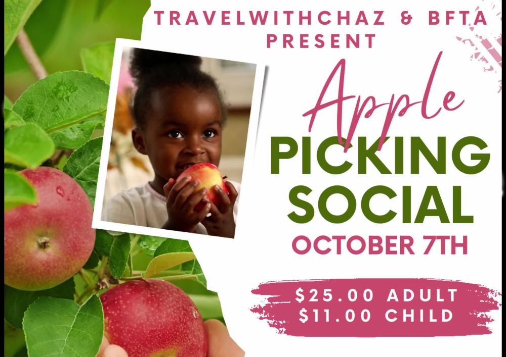 503C Not for Profit - Professional and Experienced Video Editing | Upwork