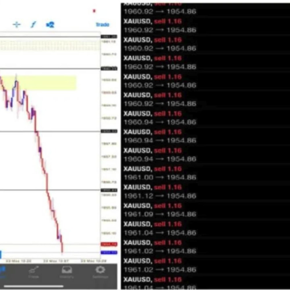 My profitable forex bot, forex ea bot, forex trading bot, mt4 ea robot ... My profitable forex bot, forex ea bot, forex trading bot, mt4 ea robot ...