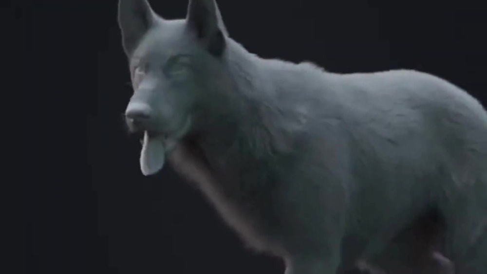 Render a realistic 3d animal animation,3d animal model, 3d bird design ...