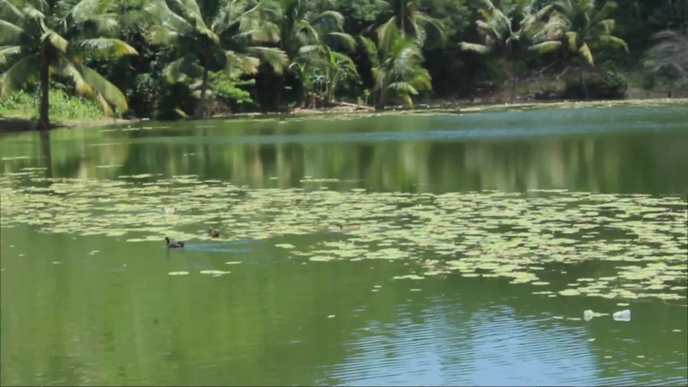 A very good project because im confident to do my Job as long as the basic. | Upwork